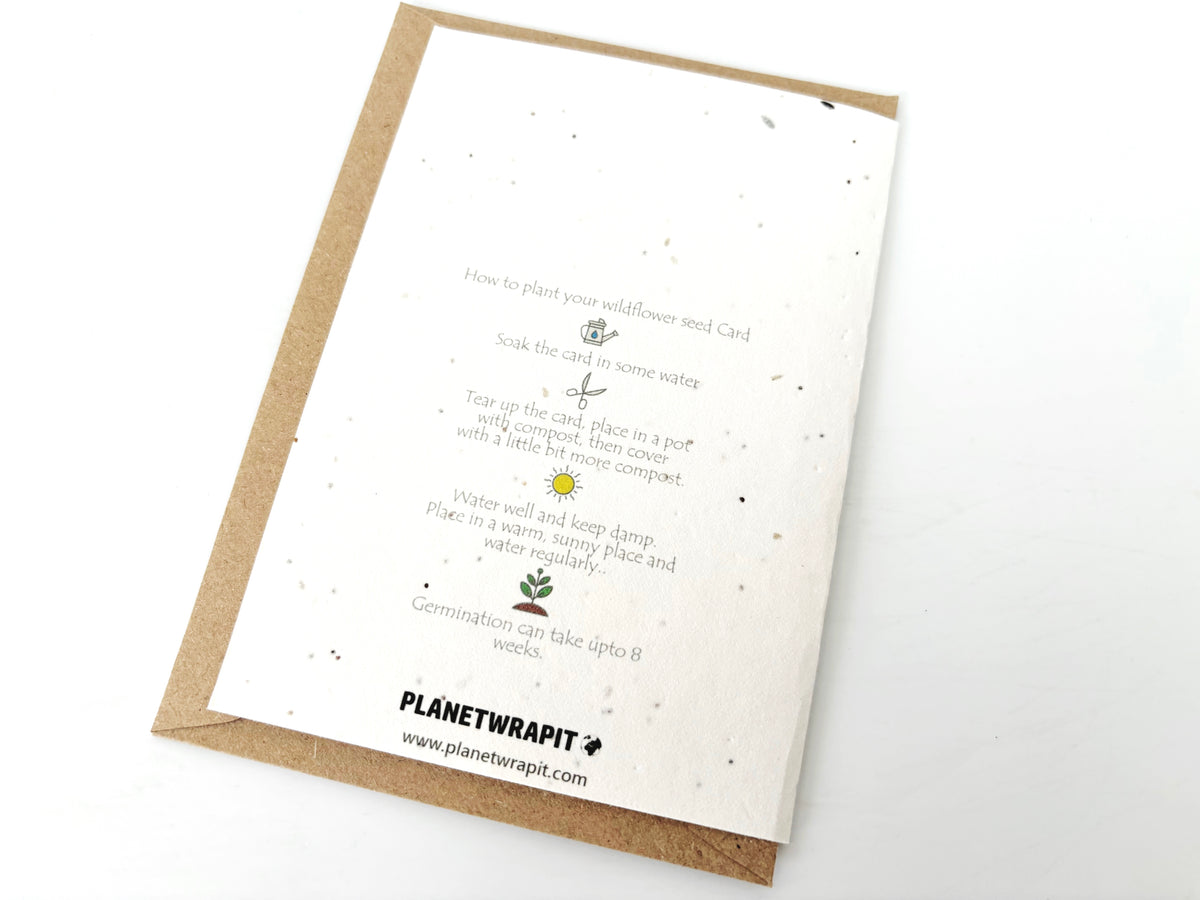 Plantable Seed Flower Greetings Card | Eco friendly Gifts – planetwrapit